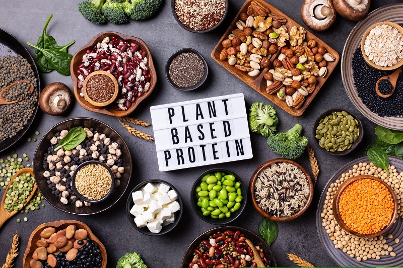 Is Plant Protein Better Than Meat?